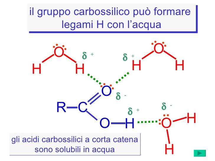 5 c 2010 acidi carbossilici