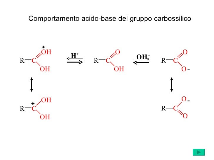5 c 2010 acidi carbossilici