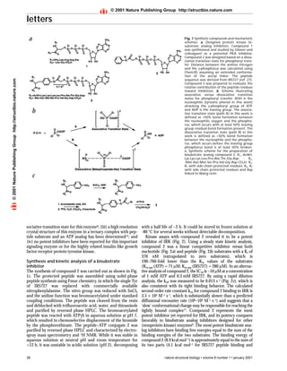 Ablooglu et al 2001 Nat Str Biol | PDF