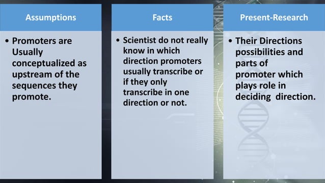 BI-DIRECTIONAL PROMOTERS | PPTX | Genetics | Science