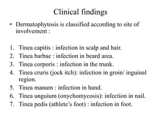 Dermatophytes | PPTX