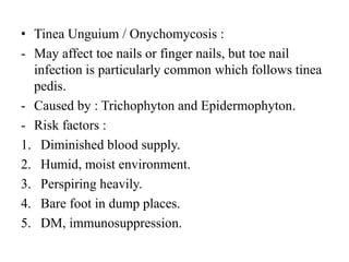 Dermatophytes | PPTX