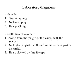 Dermatophytes | PPTX