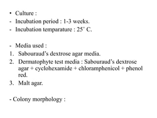 Dermatophytes | PPTX