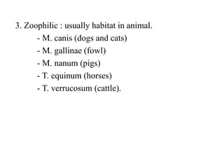 Dermatophytes | PPTX