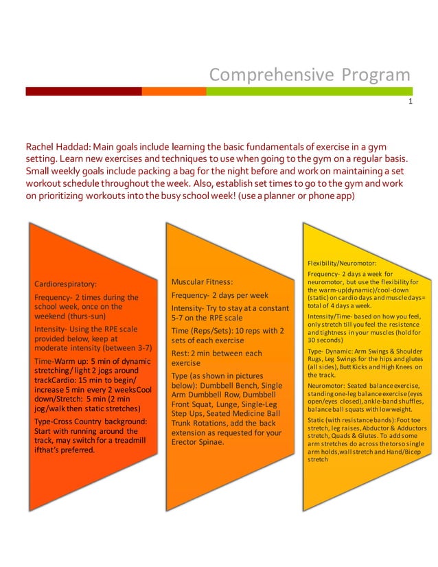 comprehensiveprogramplan | PDF