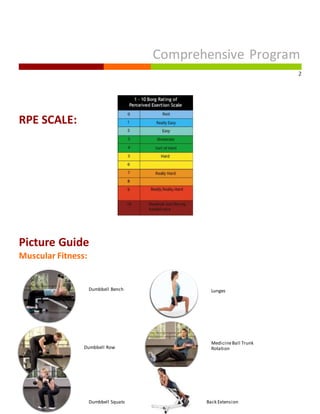 comprehensiveprogramplan | PDF