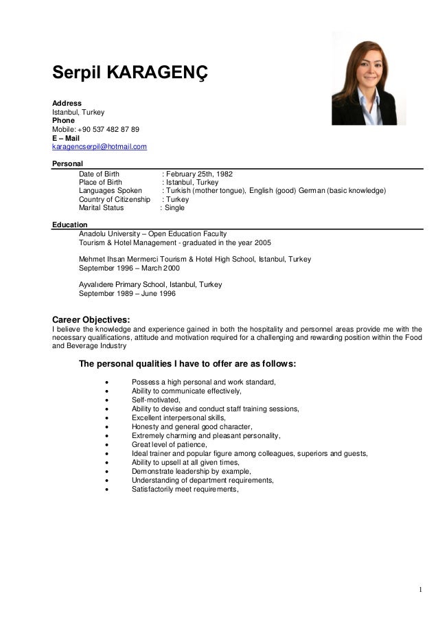 SerpilKaragenc_cv-4 (1)