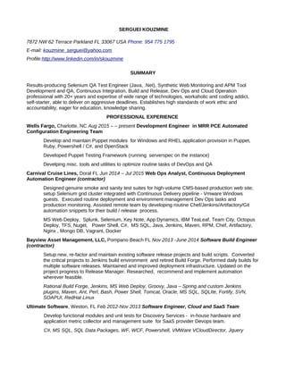 Serguei_Kouzmine_Resume | DOC