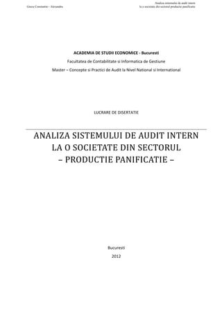 Analiza unui sistem de audit intern | PDF