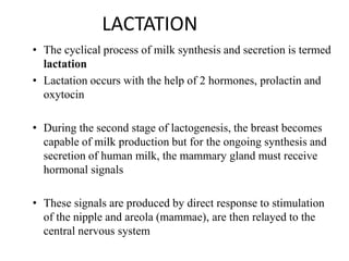 physiology of milk secretion | PPTX
