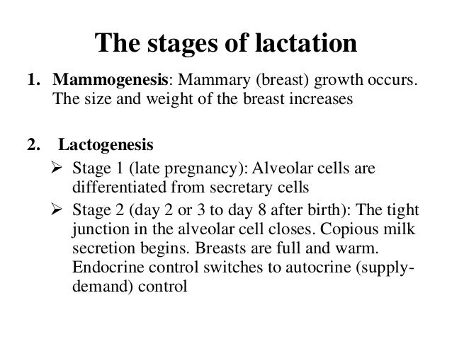 physiology of milk secretion