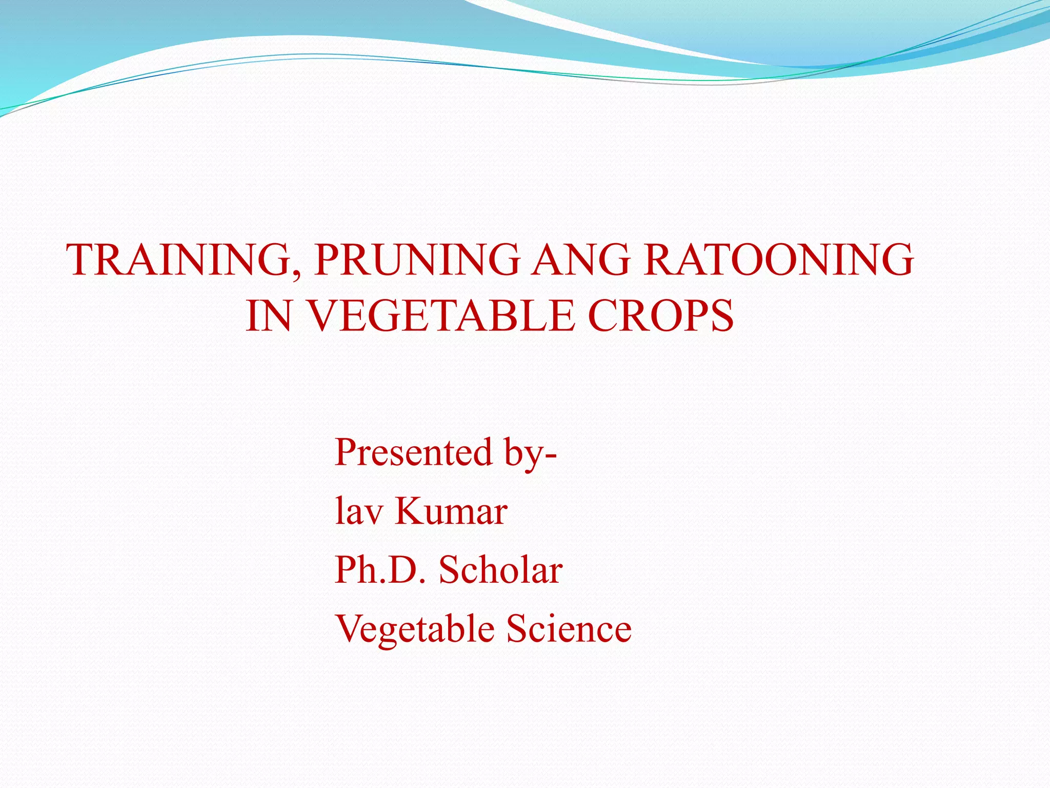 Training, Pruning and Ratooning in veg.crops | PPTX