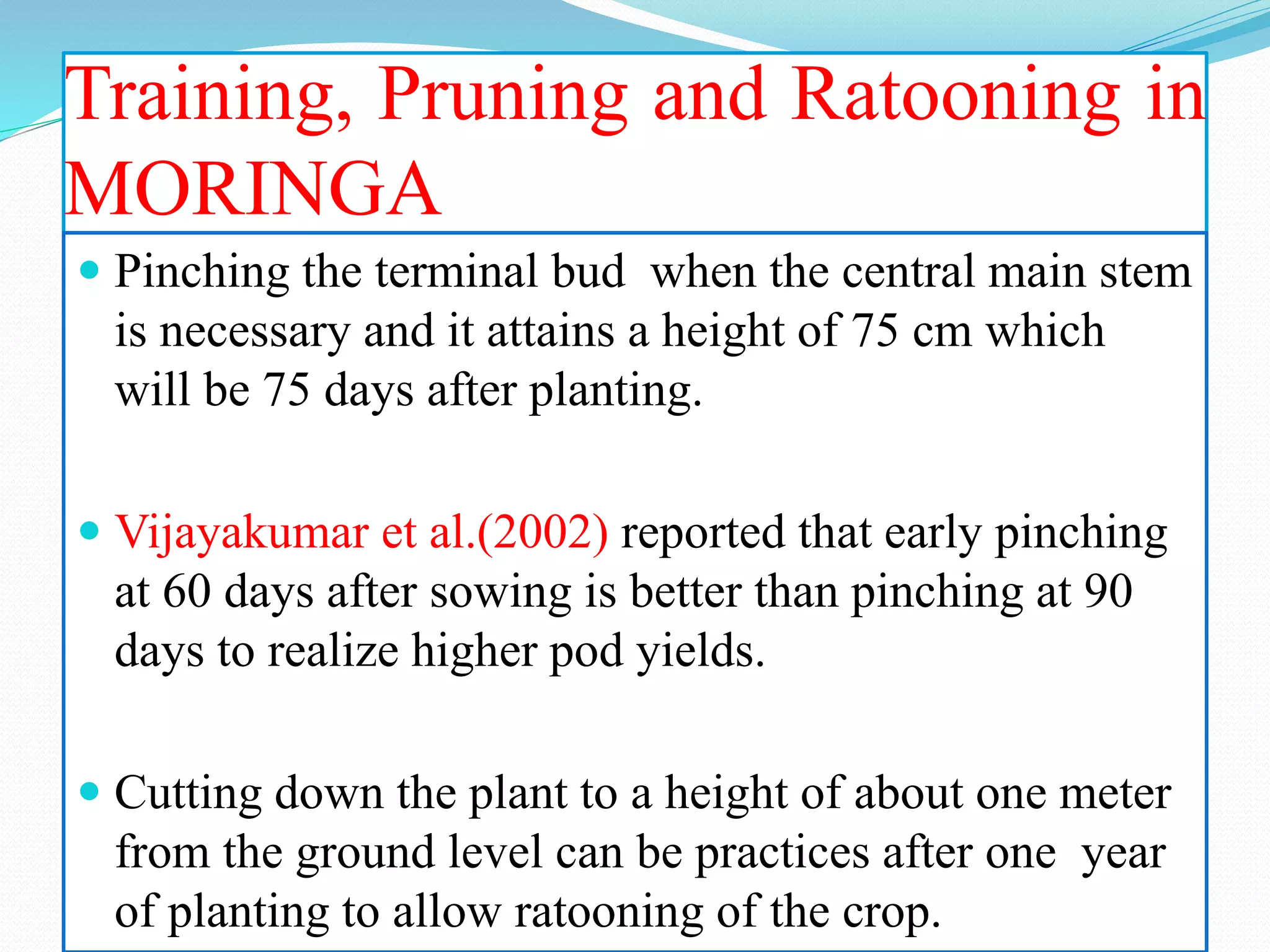 Training, Pruning and Ratooning in veg.crops | PPTX