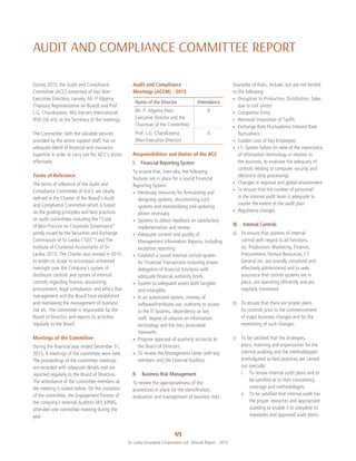 Annual Report Write ups on Risk Management and Audit Committee | PDF