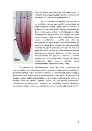 CADERNO DE CAMPO | O Sistema Dérmico (Vol. V) | PDF