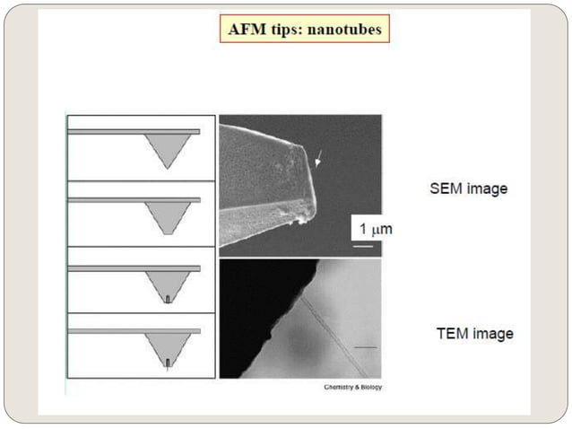 Prinsip kerja Atomic force microscopy (AFM): | PPTX