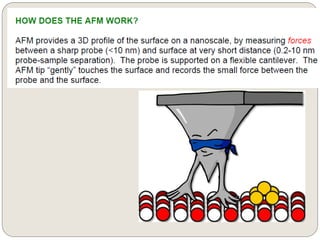 Prinsip kerja Atomic force microscopy (AFM): | PPTX