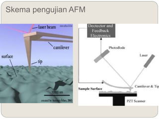 Prinsip kerja Atomic force microscopy (AFM): | PPTX