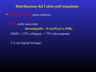 5calcio | PPT