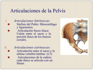 canal de parto | PDF