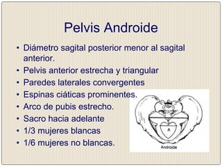 canal de parto | PDF