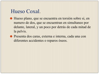 canal de parto | PDF