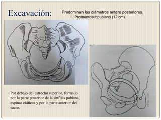 canal de parto | PDF