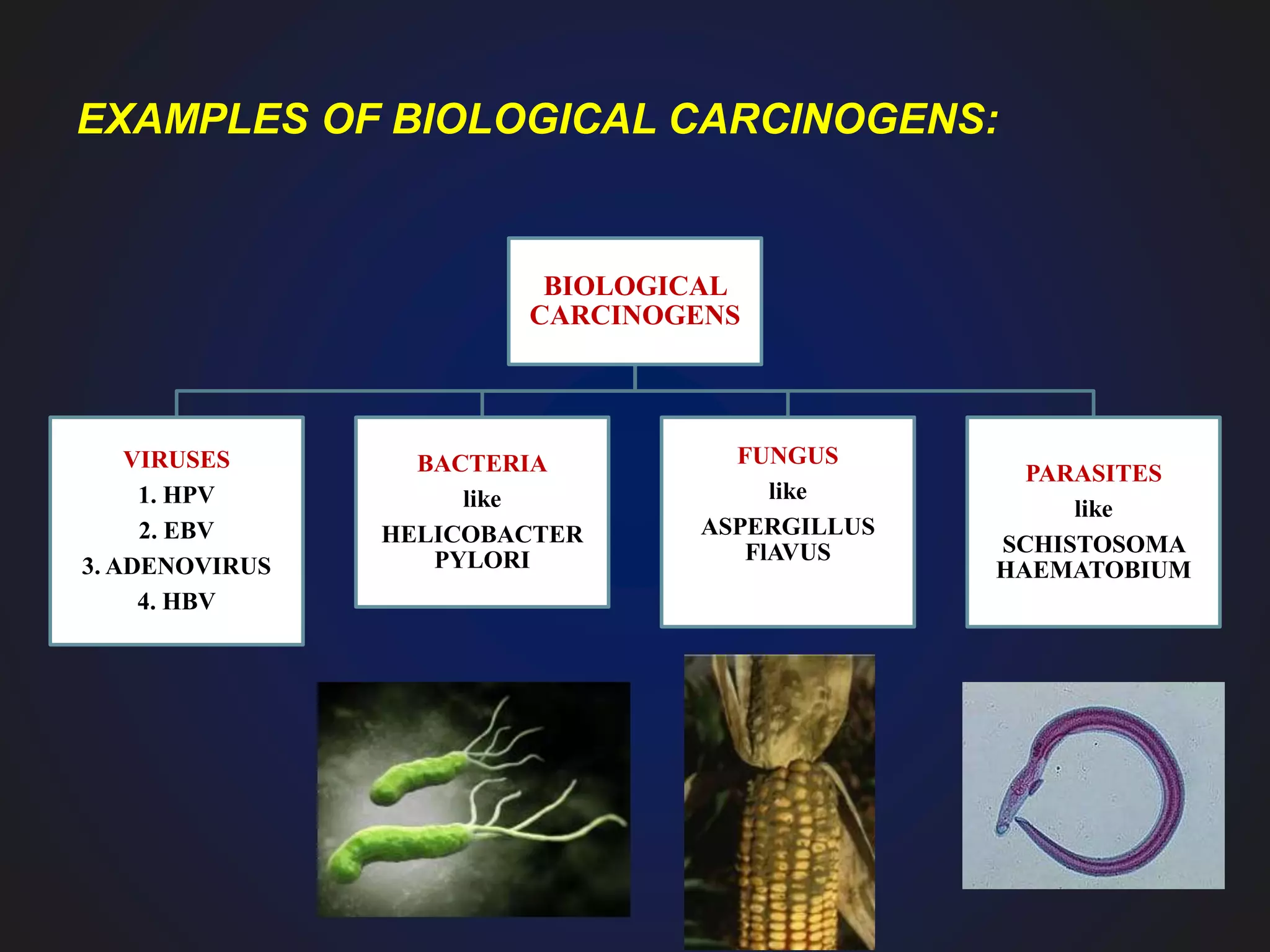carcinogens and carcinogenesis | PPTX