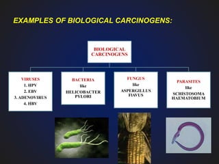 Carcinogen Examples