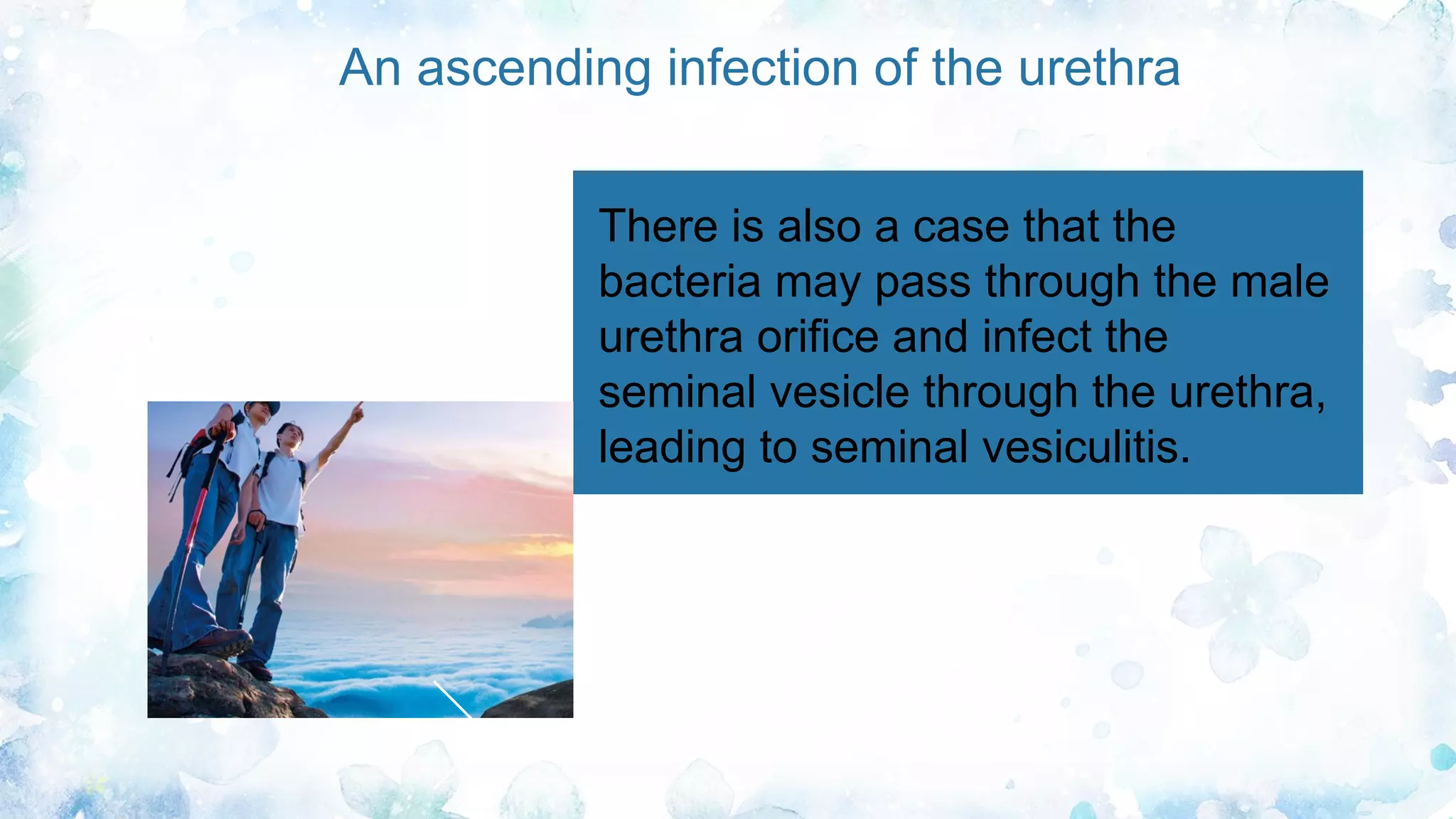 5 causes of male seminal vesiculitis | PDF