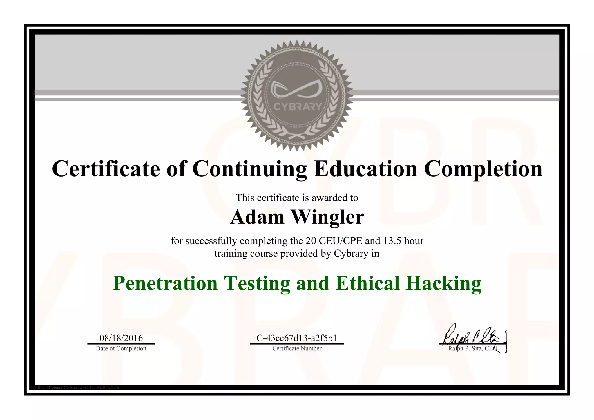 Penetration Testing and Ethical Hacking Certificate | PDF