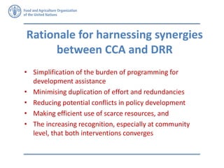 Disaster Risk Reduction (DRR) and Climate Change Adaptation (CCA) | PDF