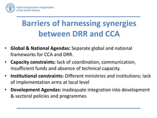 Disaster Risk Reduction (DRR) and Climate Change Adaptation (CCA) | PDF