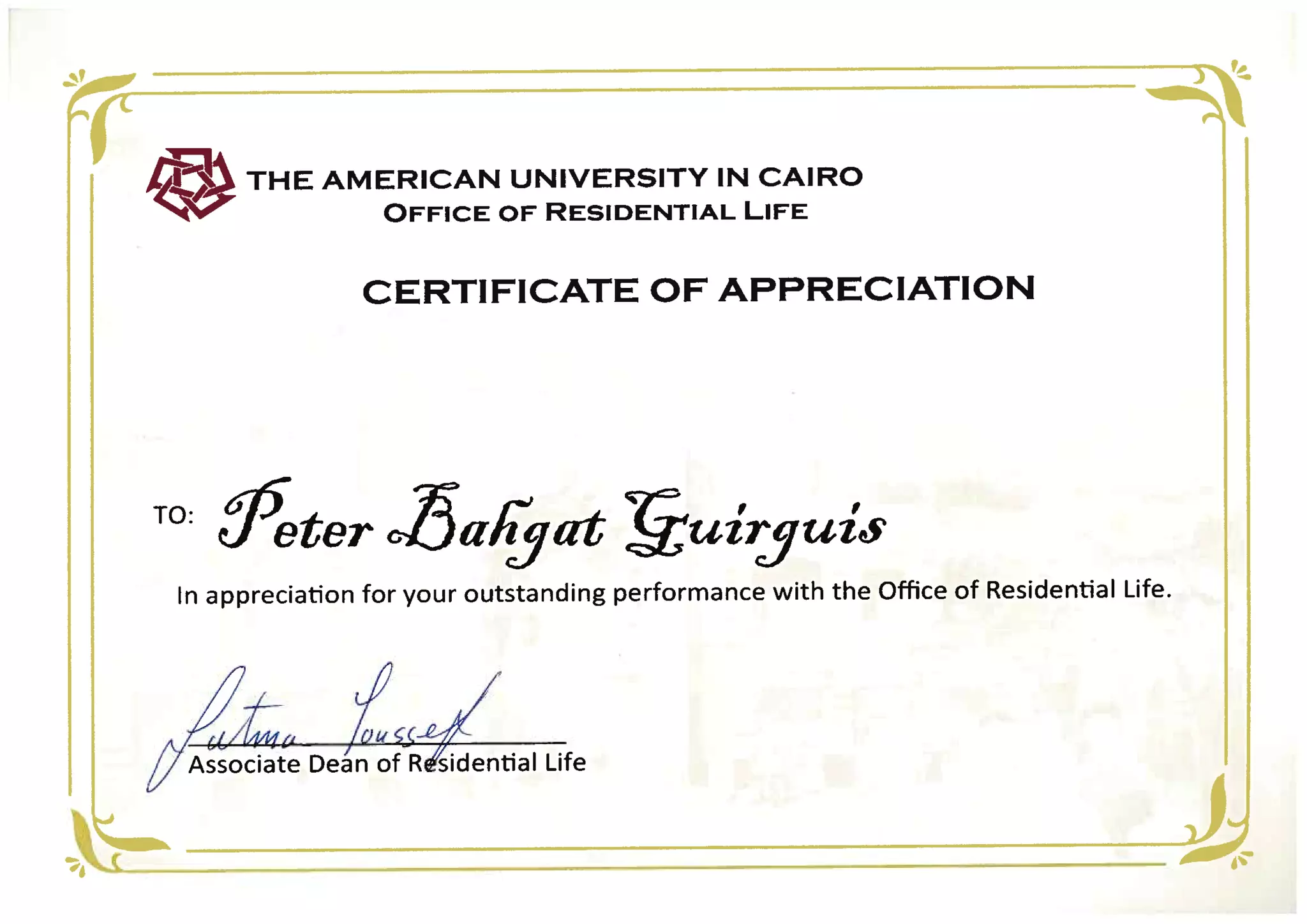 Certificate of Appreciation from American University in Cairo | PDF
