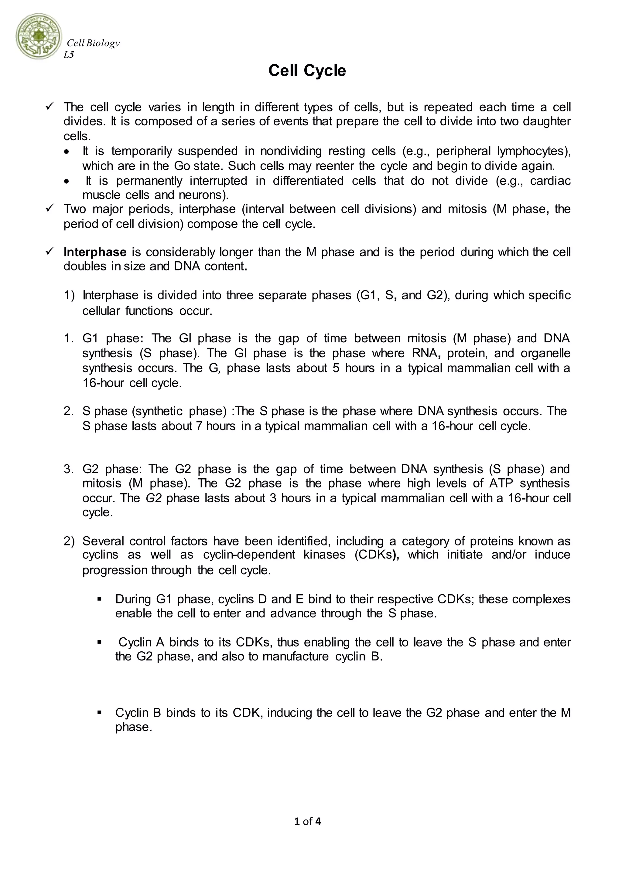 Cell cycle | DOC | Biological Sciences | Science