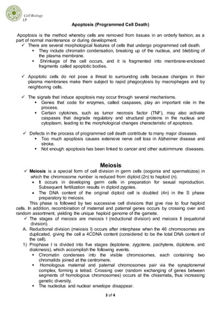 Cell cycle | DOC | Biological Sciences | Science