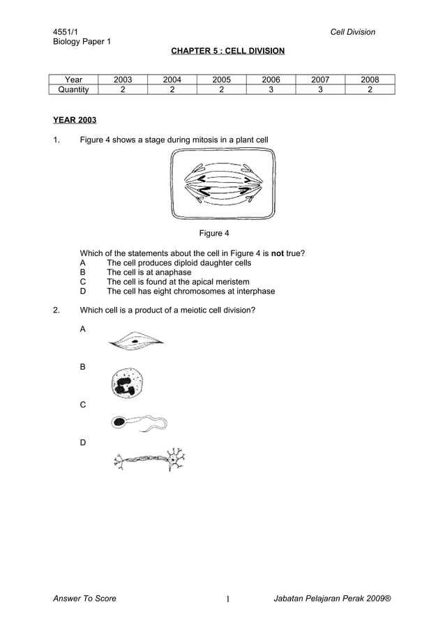 5 cell division | PDF