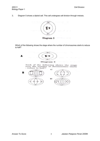 5 cell division | DOC | Biological Sciences | Science