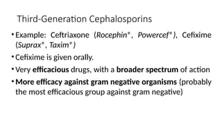 Description of Cephalosporin, drugs and side effects | PPTX