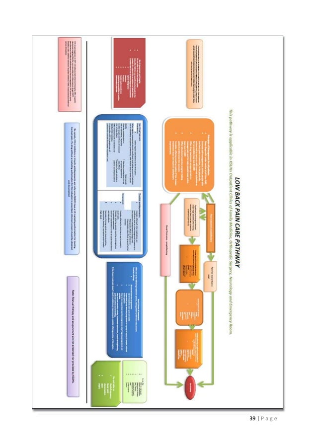 Low Back Pain Clinical Practice Guideline | PDF