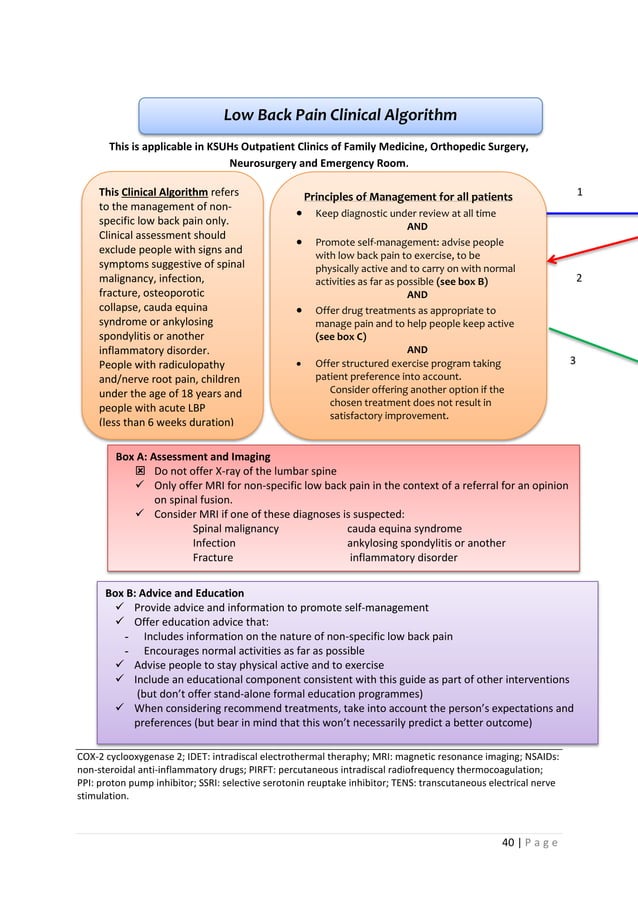 Low Back Pain Clinical Practice Guideline | PDF