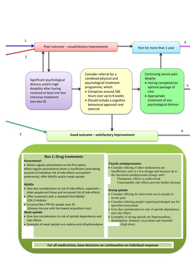 Low Back Pain Clinical Practice Guideline | PDF