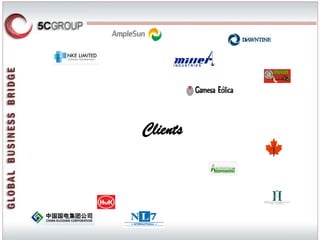 5 C Group Profile En | PDF