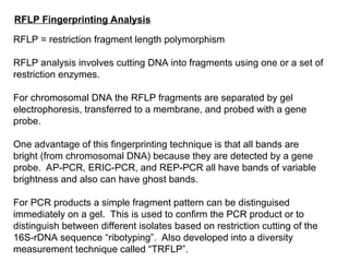 Different Molecular Methods for Nucleic Acid | PPT