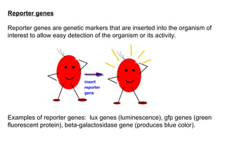 Different Molecular Methods for Nucleic Acid | PPT