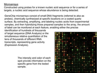 Different Molecular Methods for Nucleic Acid | PPT