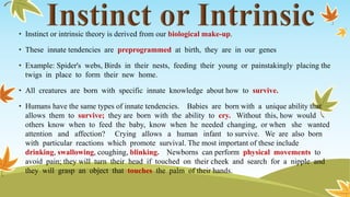 5 chapter psy_motivation_ji | PPTX | Parenting Babies and Toddlers ...