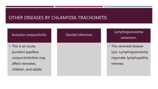 chlamydia and EYE | PPTX