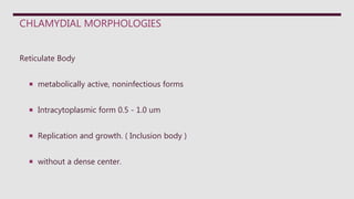 chlamydia and EYE | PPTX